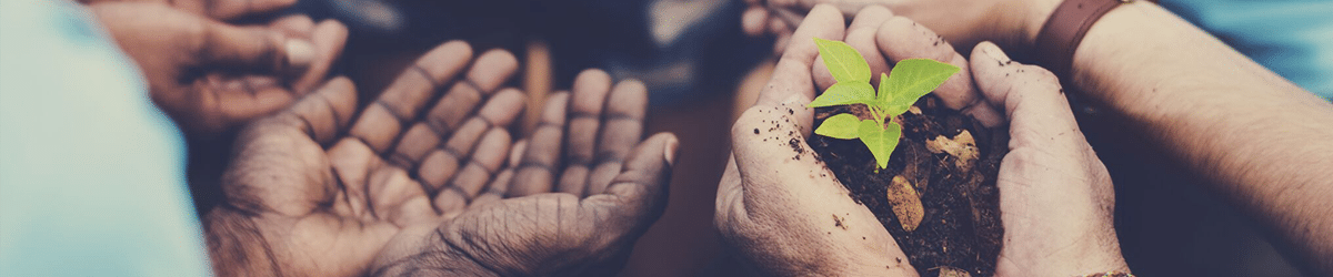 Support 211 | Resources, Services & More! | Washington 211